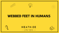 Webbed Feet in Humans: What You Need to Know - Heathe